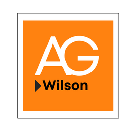 AG Wilson AI Solutions - Transformando Negocios con Inteligencia Artificial